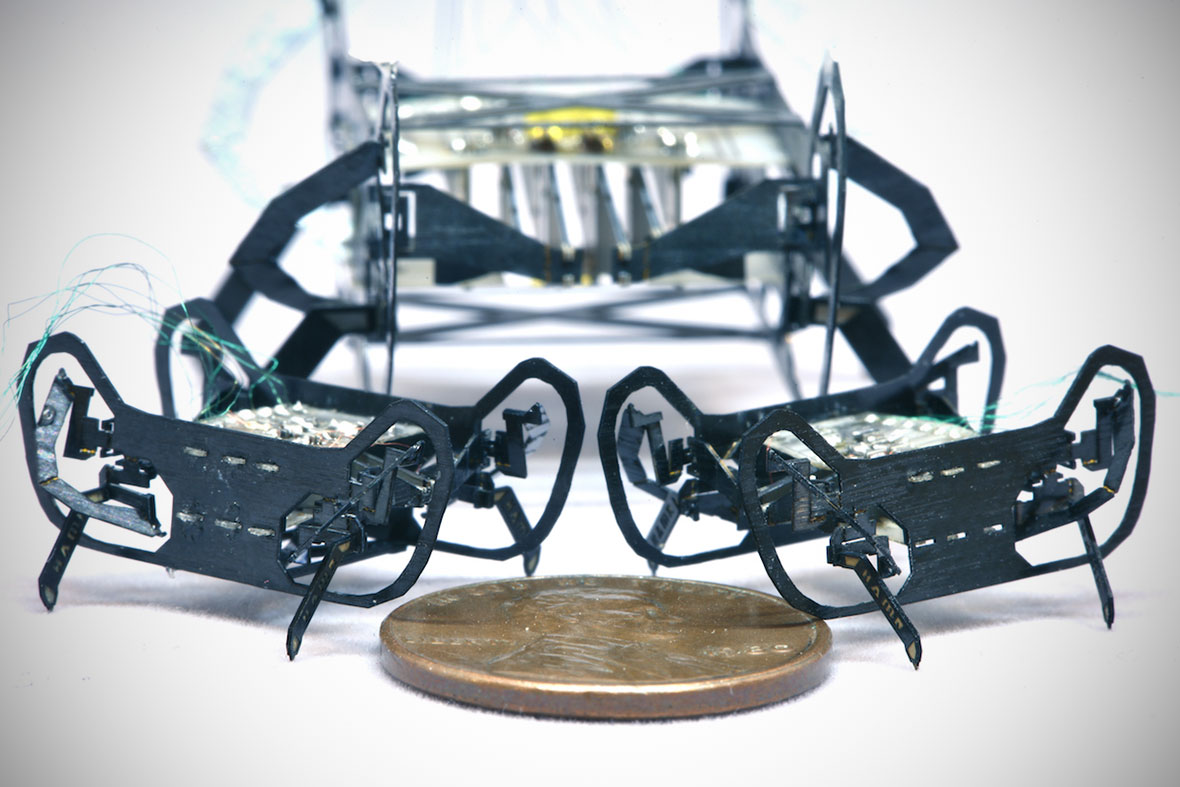 First Look at HAMR-Jr, a Cockroach-Inspired Quadrupedal Robot - TechEBlog