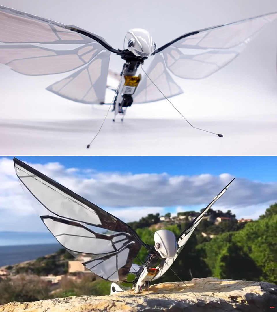 MetaFly Looks Like a Real Insect from Afar, But It's Actually a Flying ...